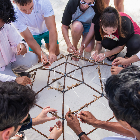 JOALI Reef Restoration Programme | The Maldives Reefs JOALI Reef Restoration Programme | The Maldives Reefs